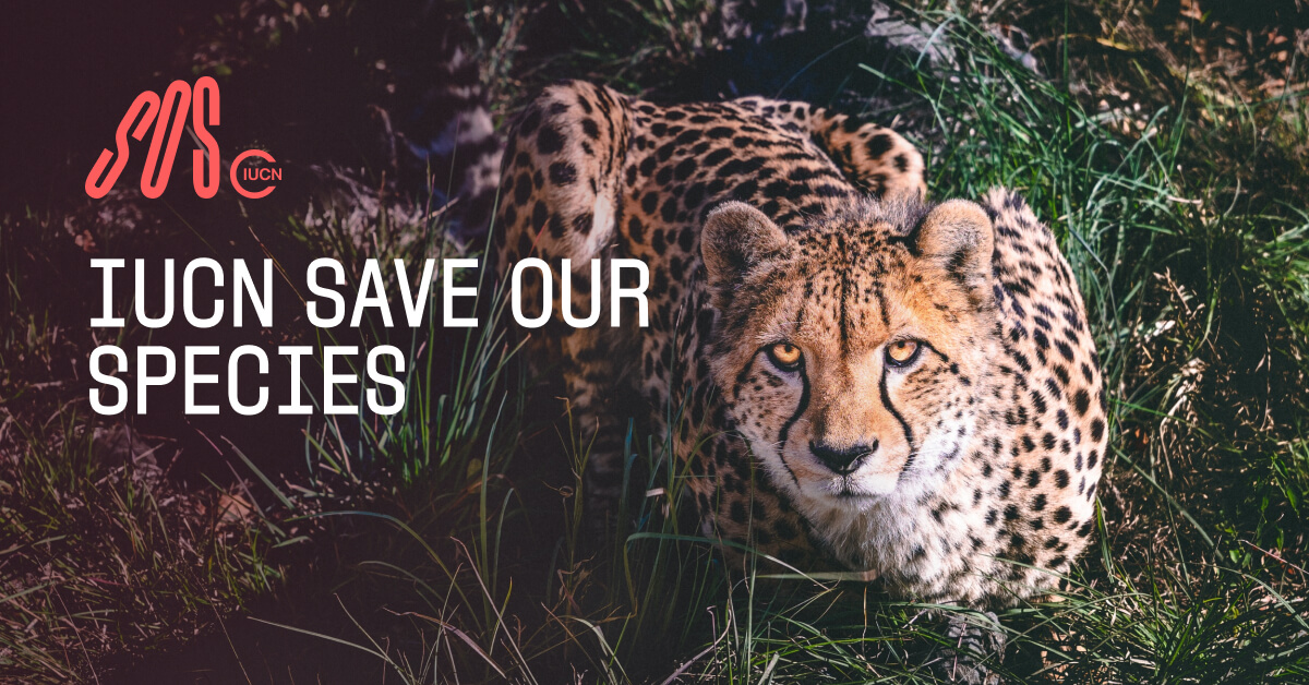 IUCN Save Our Species - Your partner to protect biodiversity