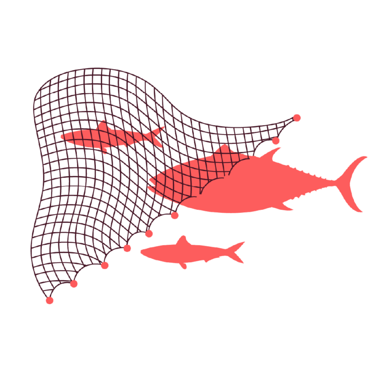 Community-led conservation of mountain tapirs in Colombia - IUCN SOS