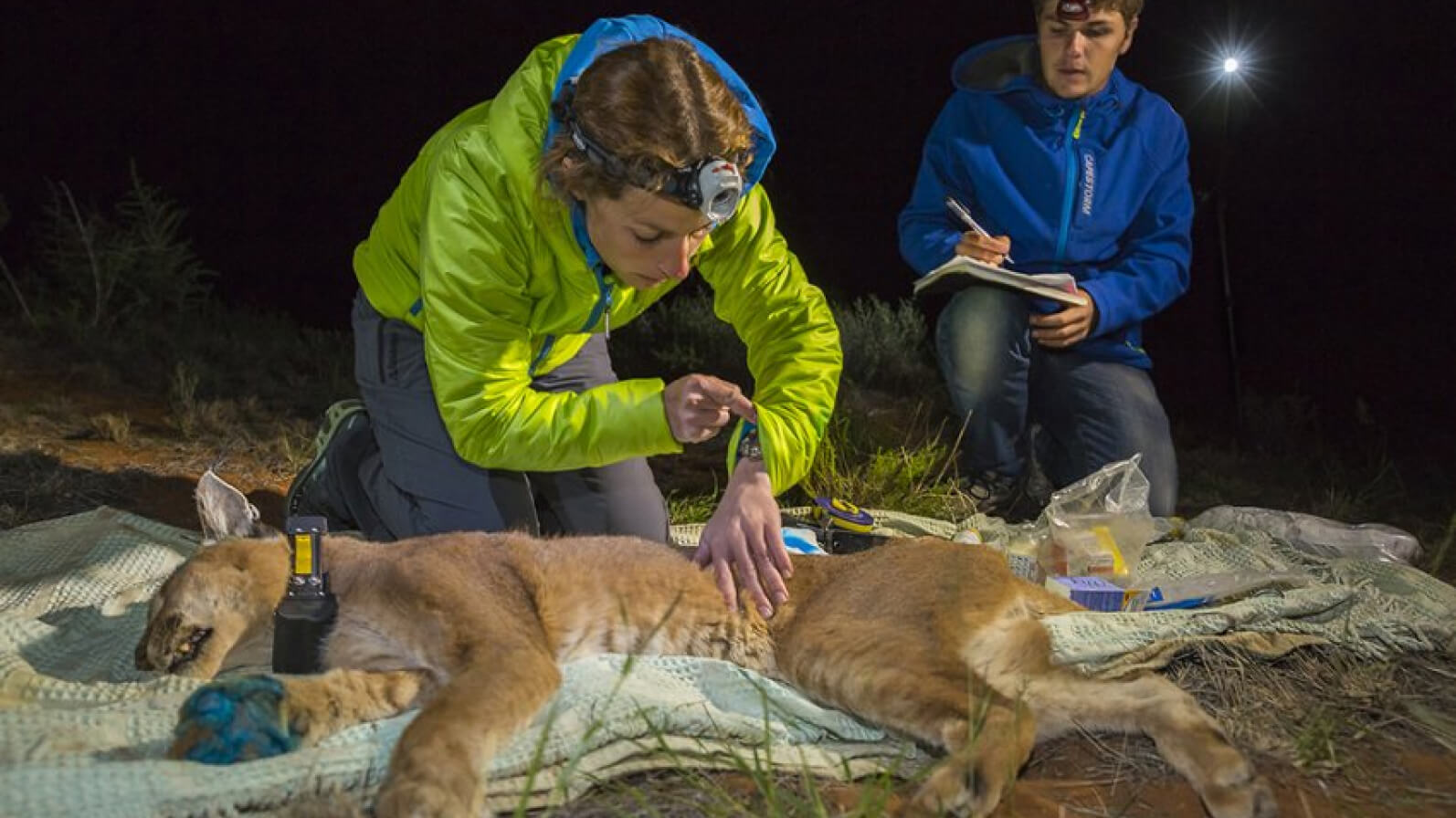 What we do - IUCN SOS