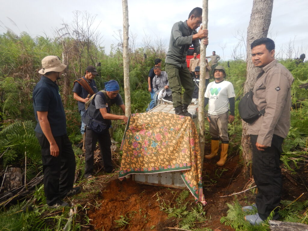 Delivering a Scalable Integrated Tiger Conservation and Livelihood ...