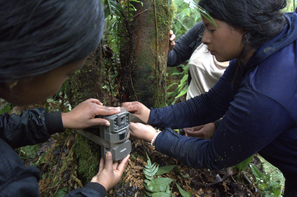 Community-led conservation of mountain tapirs in Colombia - IUCN SOS