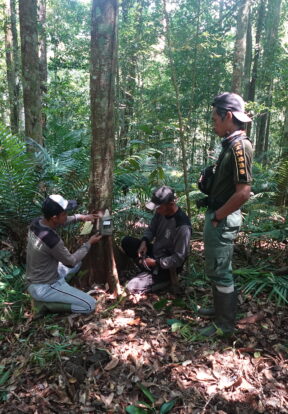 Scaling up an integrated conservation model for tigers and sustainable ...