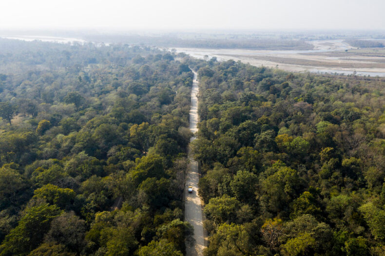 Securing corridors for tiger and people: Leveraging transboundary ...