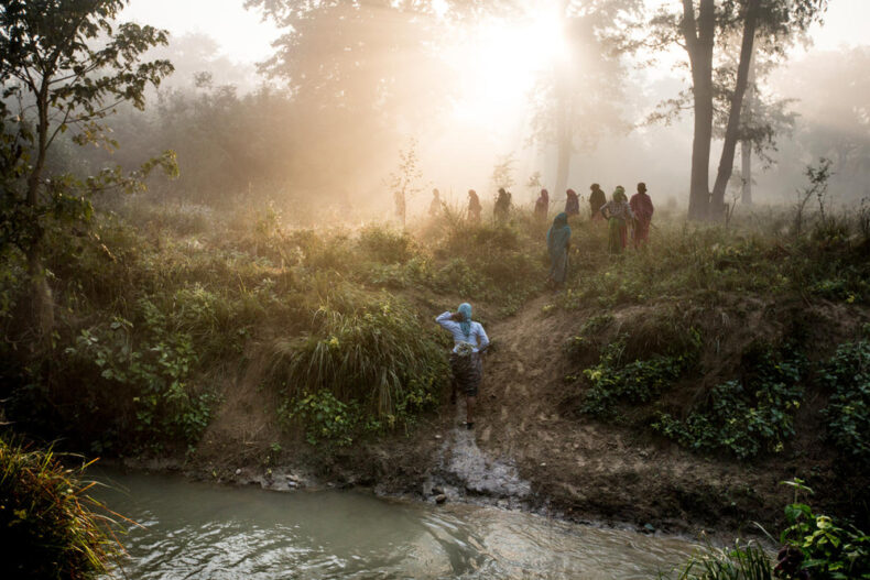 Securing corridors for tiger and people: Leveraging transboundary ...